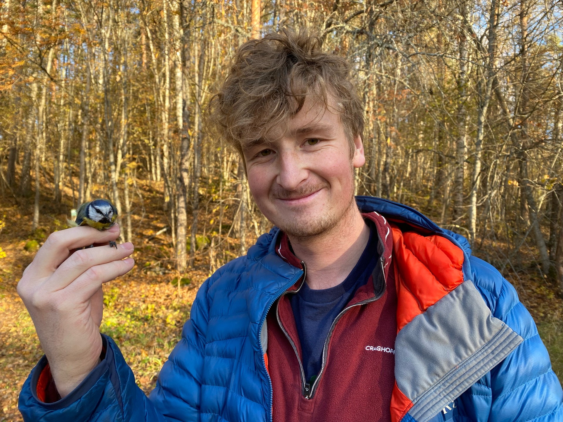 The Lab Group – Ecology & Evolution of Interactions